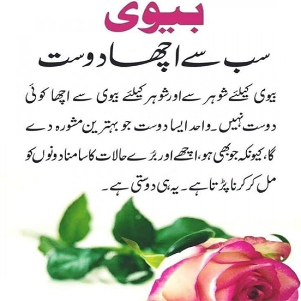 Buy Husband Wife Islamic relationship lifestyle guidance book online in ...