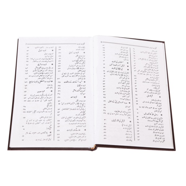 Buy Tajaliyat-e-Nabuwat o Mohar-e-Nabuwat - تجلیاتِ نبوت و مہر نبوت ...