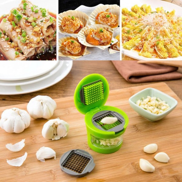 Buy Garlic Chopper online in Pakistan | Buyon.pk