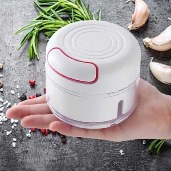 Mini Garlic Slicer Household Mincing Machine Minced Hand Pull Grinder ...