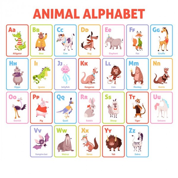 Abc Animal Spell Flash Card A TO Z - Buyon.pk