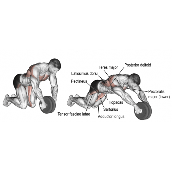 King Athletic Ab-Roller Wheel: for Abdominal & Stomach Exercise ...